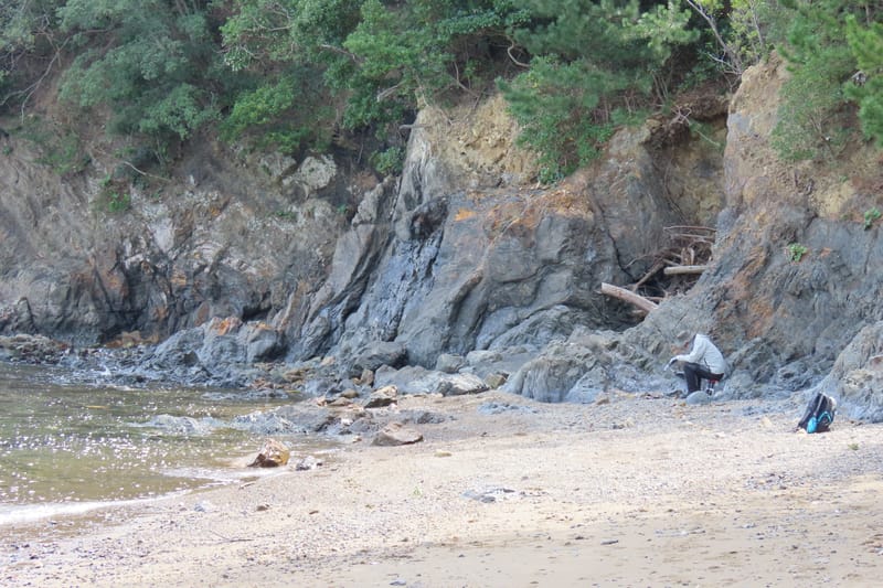 化石ハンターに遭遇 ひょうたんさんのフォト 趣味人倶楽部しゅみーとくらぶ