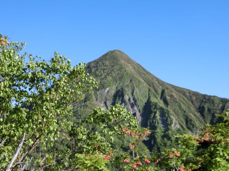 キバナノアツモリソウの咲く山 山風さんの日記 趣味人倶楽部しゅみーとくらぶ