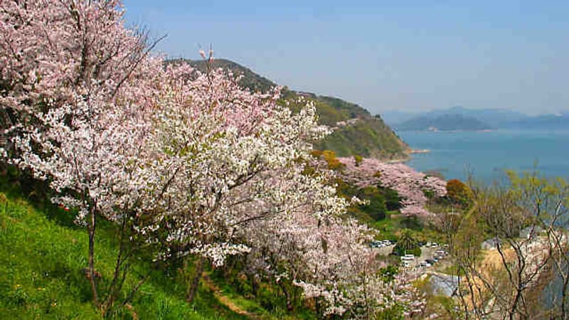 瀬戸内海家島諸島から見るきれいな景色でっせ しばさんのフォト 趣味人倶楽部しゅみーとくらぶ