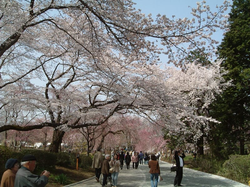 令和6年3月の俳句雛祭窓 せいほうさんの日記 趣味人倶楽部しゅみーとくらぶ
