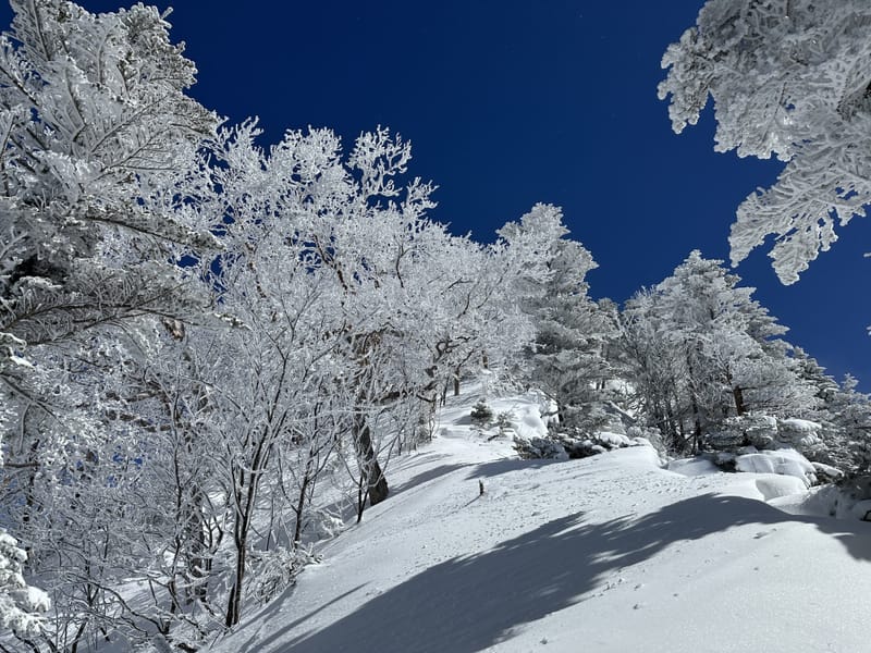 雪の北アルプスへ のらさんの日記 趣味人倶楽部しゅみーとくらぶ
