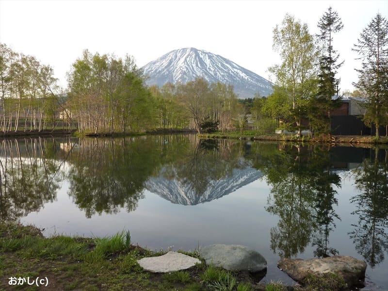 2024 羊蹄山巡り 羊蹄姿見池 おかしさんのフォト 趣味人倶楽部しゅみーとくらぶ