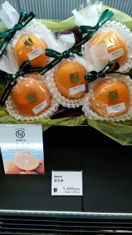 何の花せとか みかん の花 マロンさんの日記 趣味人倶楽部しゅみーとくらぶ