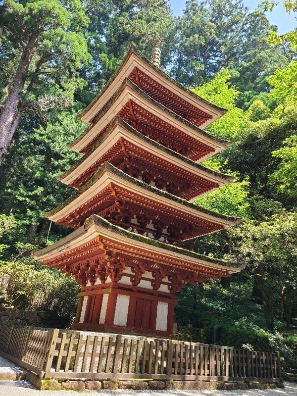 新緑の室生寺と室生川源流の旅 ラベンダーさんの日記 趣味人倶楽部しゅみーとくらぶ